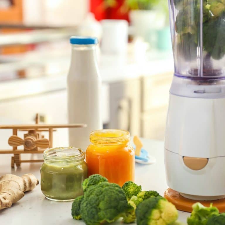 How To Choose The Best Blenders For Pureeing Food 2025 - Jody's Bakery