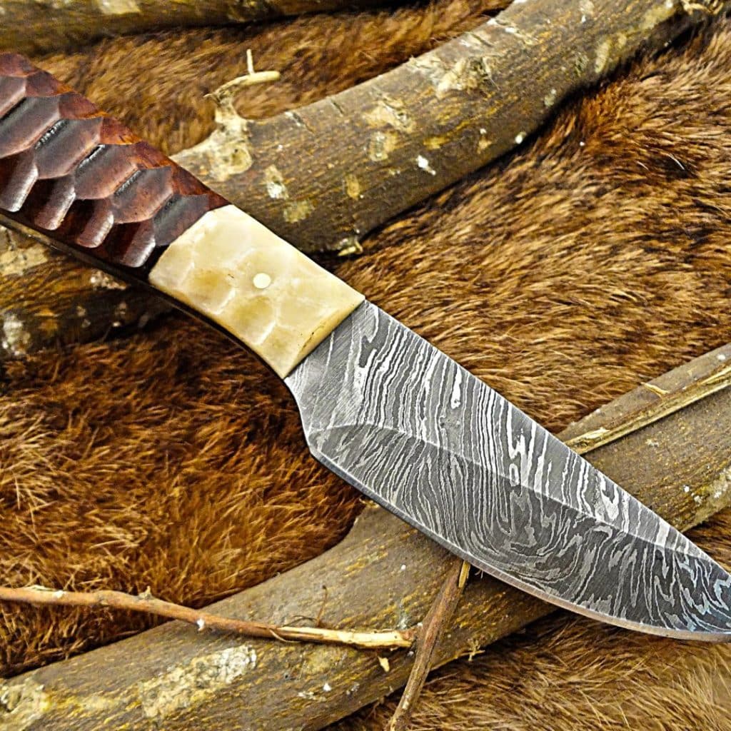 What Characteristics Make The Best Skinning Knife 2026 - Jody's Bakery