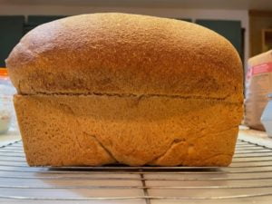 Food processor bread recipe - Jody's Bakery